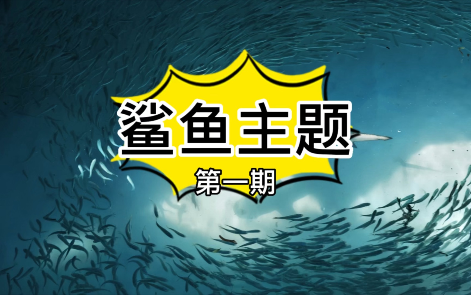 【鲨鱼主题】第一期,让我们一起来认识一下鲨鱼,鲨鱼的结构和特点