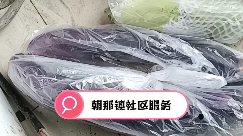 社区服务便民服务