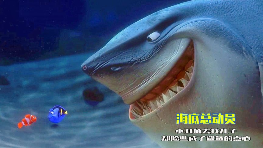 《海底总动员》小丑鱼去寻找失踪的儿子,却险些成了鲨鱼的点心