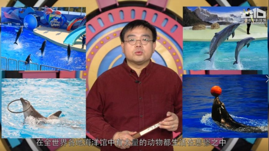 拒绝动物表演:也是一种保护