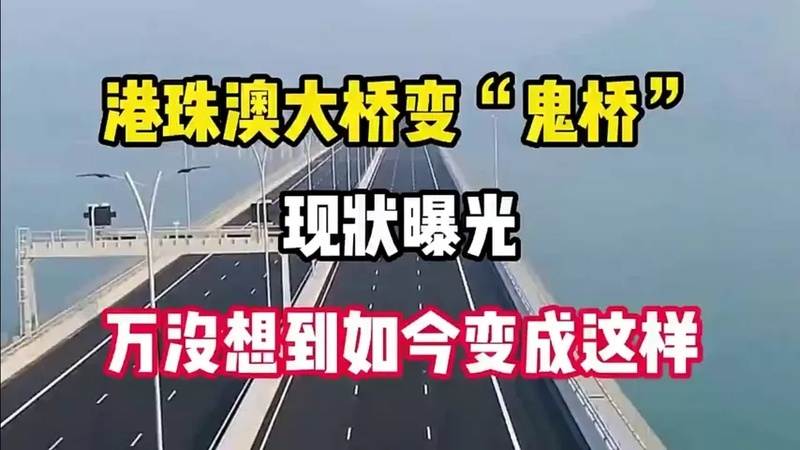 港珠澳大桥没人过?现状曝光,没想到如今变成这样