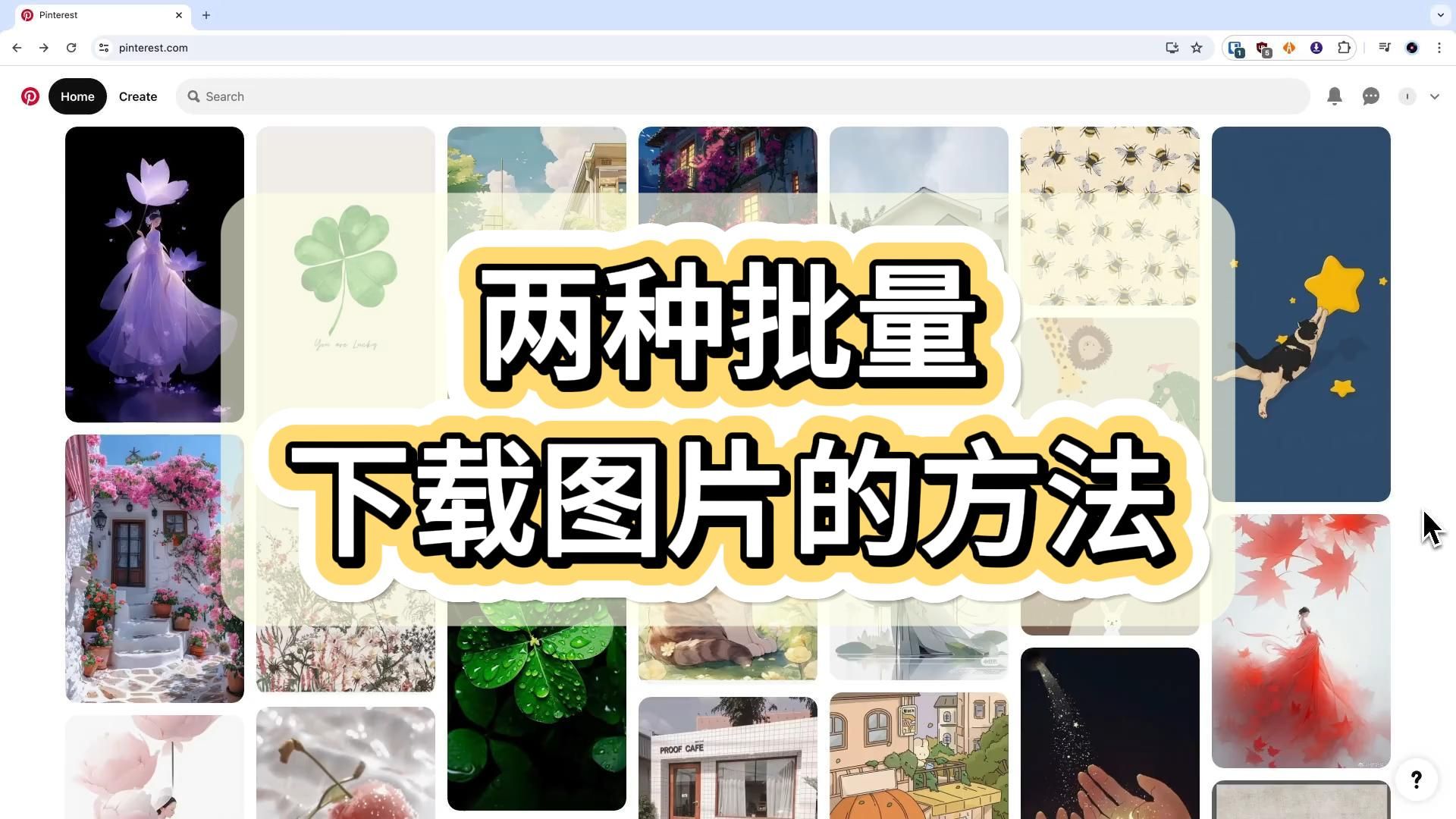 告别手动保存,两种批量下载网页图片的方法推荐