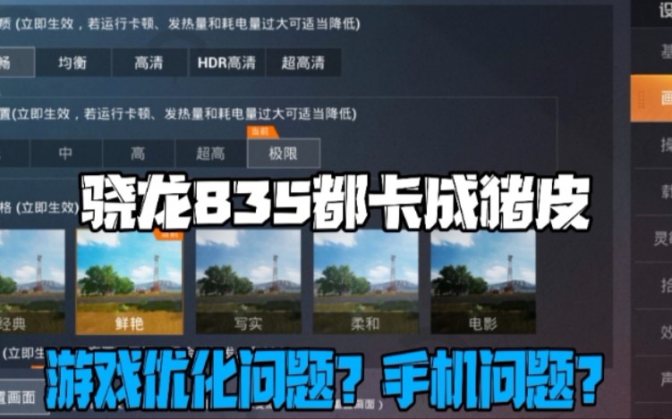 你们有没有发现,玩和平精英总是掉帧?连骁龙835都不行了!