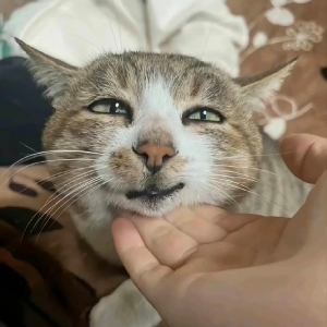 凝聚超 