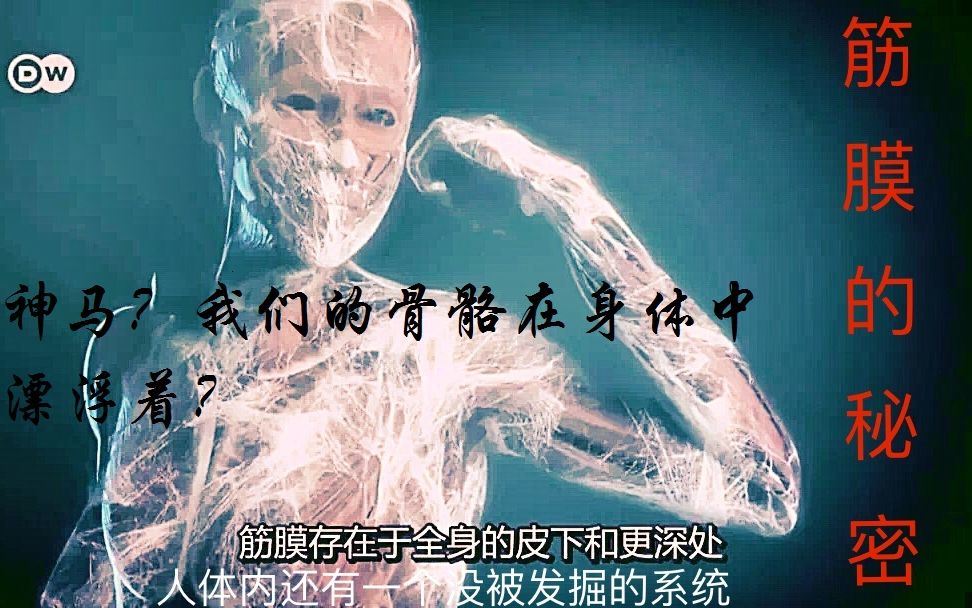 ...(上)|神马?我们的骨骼在身体中漂浮着?人体形态是“张拉整体”模型