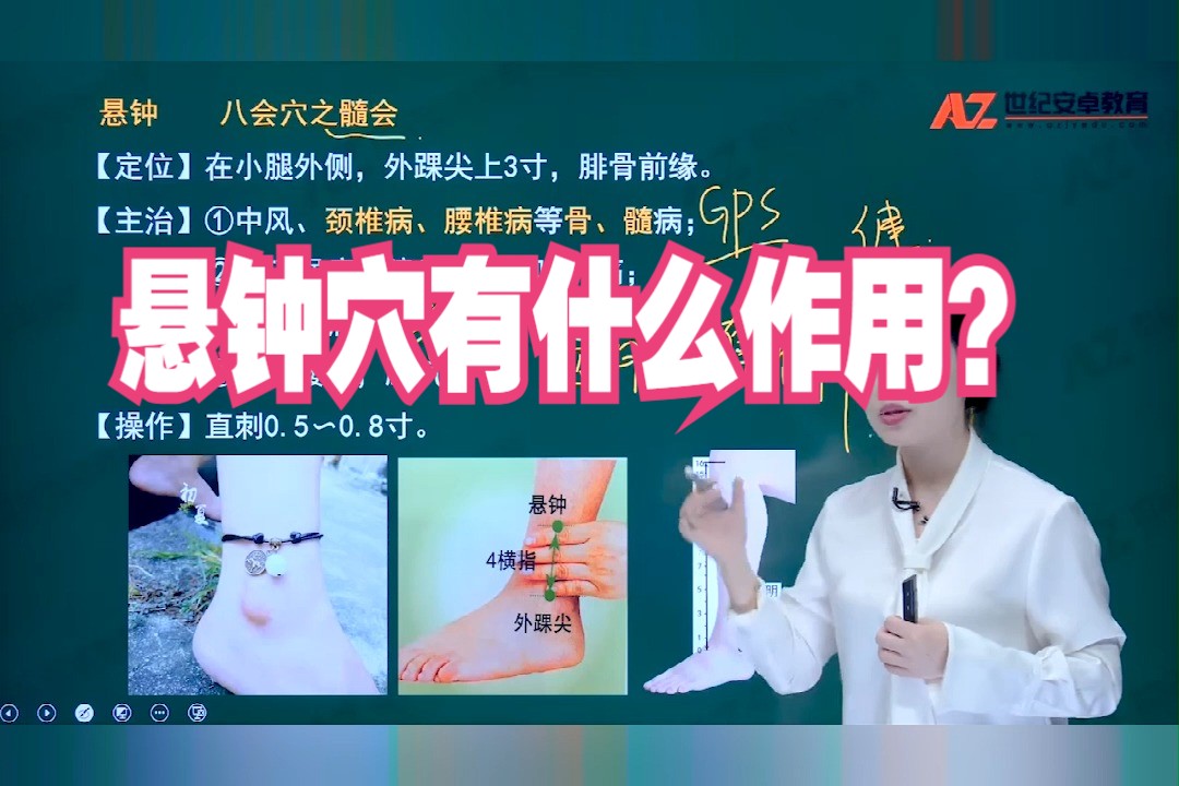 针灸学之人体穴位定位及功能讲解178:悬钟穴 #中医执业医师考试 #...