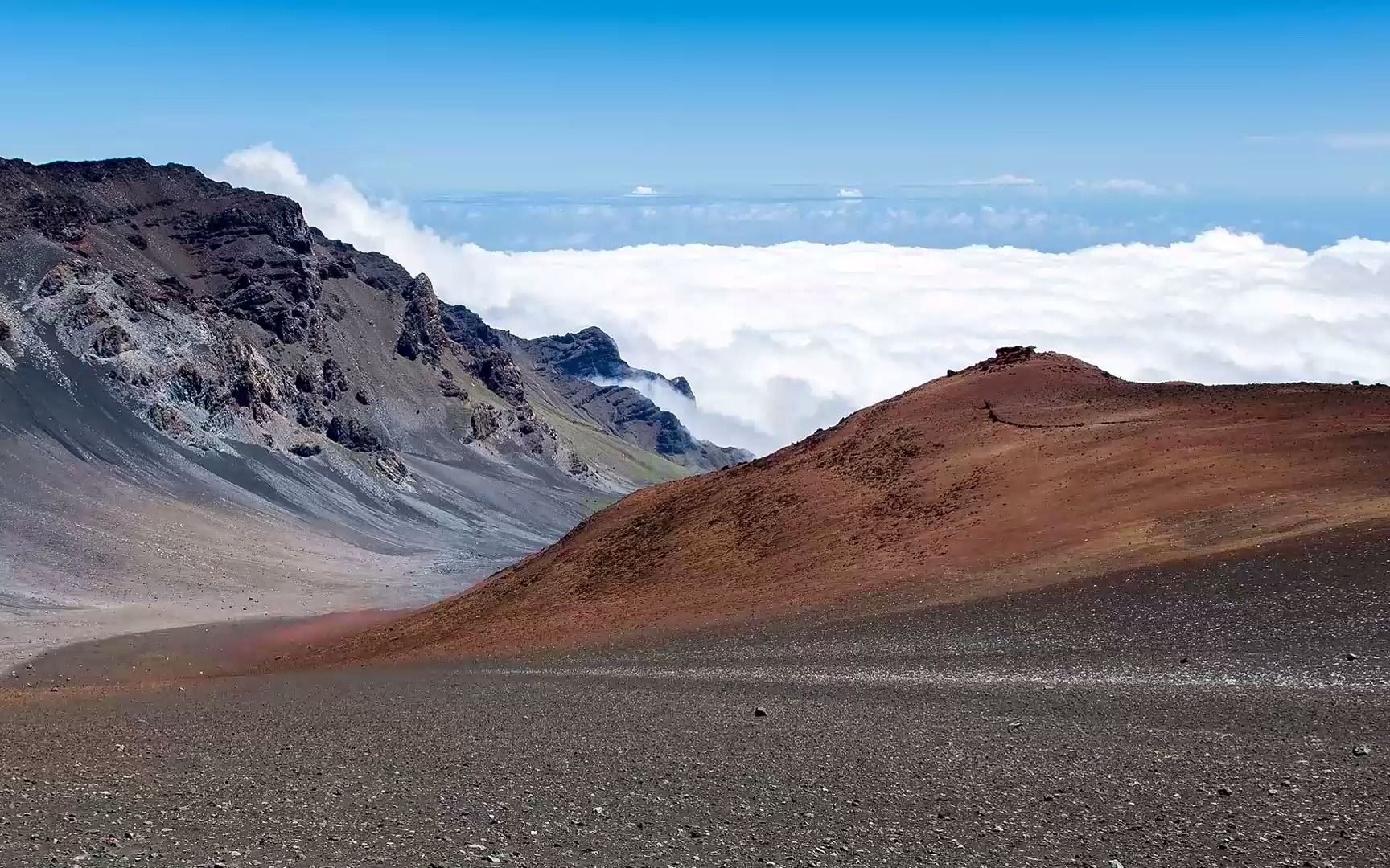跟着经济学人学写作