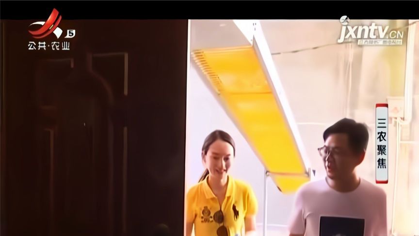 智慧农业改变传统养殖!走进现代化养鸡舍,看看这里的鸡有何不同