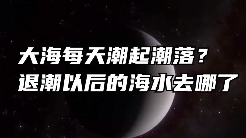 大海每天潮起潮落?退潮以后的海水去哪了,看完长见识了