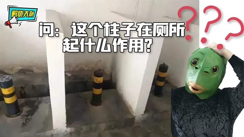 神评论大赏:请问柱子在厕所起到什么作用