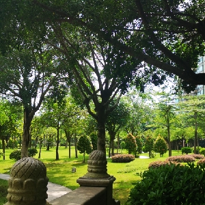 Alvin林- 