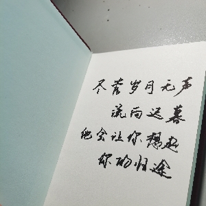 犯困大大王 