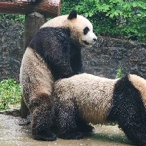 江河华豫 