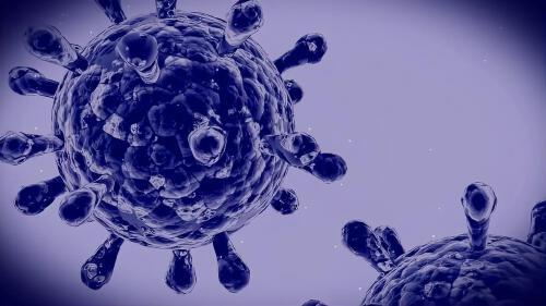 病毒存在的终极目标到底是什么?与宿主共生还是杀死宿主?