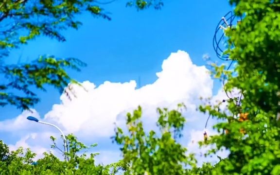 【摄影调色】超治愈的宫崎骏动漫风滤镜调色附详细轻图调色参数
