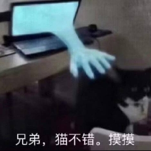 架狙的猫猫头 