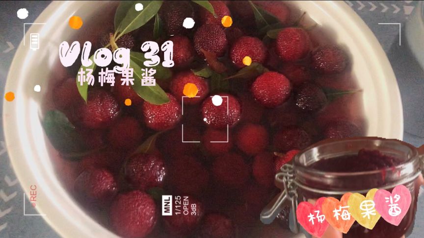 Vlog 31|杨梅要怎么保存?那肯定是做酸酸甜甜的杨梅果酱啦!
