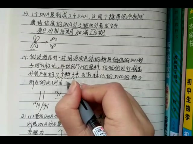 与DNA分子相关计算