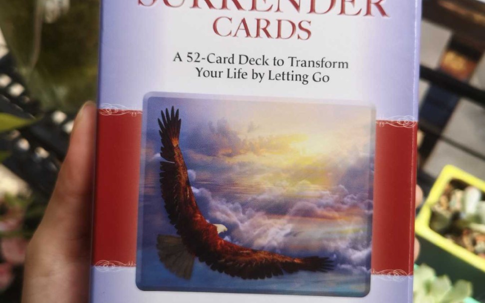 the power of surrender cards牌面浏览及试抽