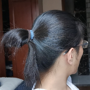 努力学习的鸽子鸭 