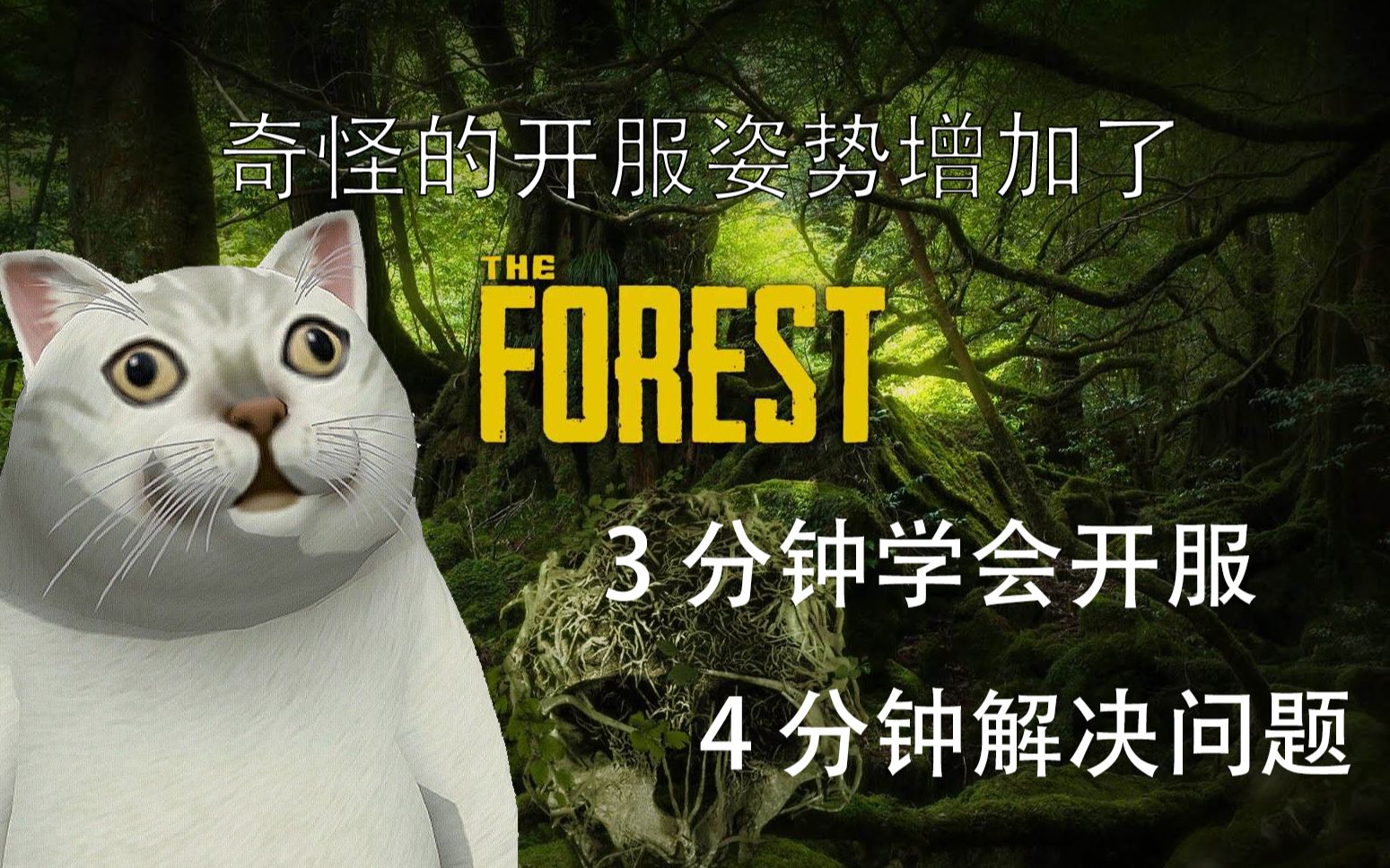 鸭子也能懂的森林开服教程
