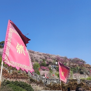 吕先生工控自动化 