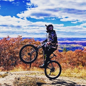 梅花略施粉黛_official 