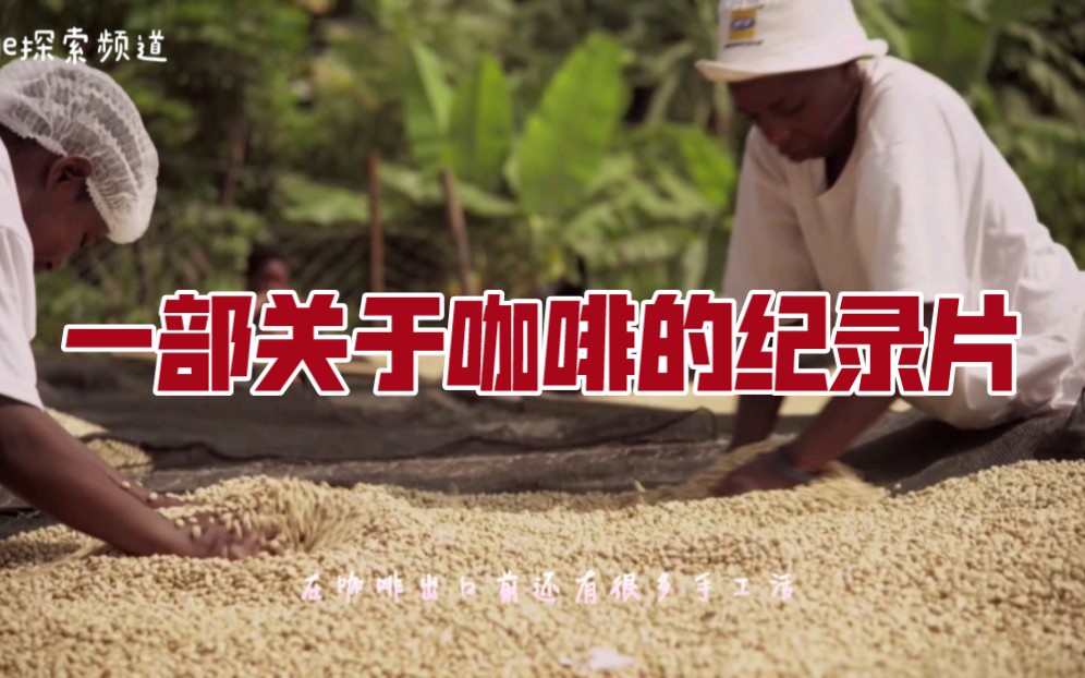 一部关于咖啡的纪录片,从咖啡树到精品咖啡经历了什么?