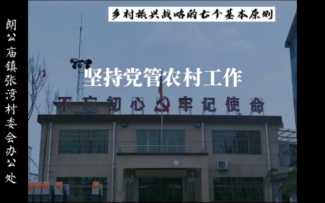 大学生讲思政课——乡村振兴战略
