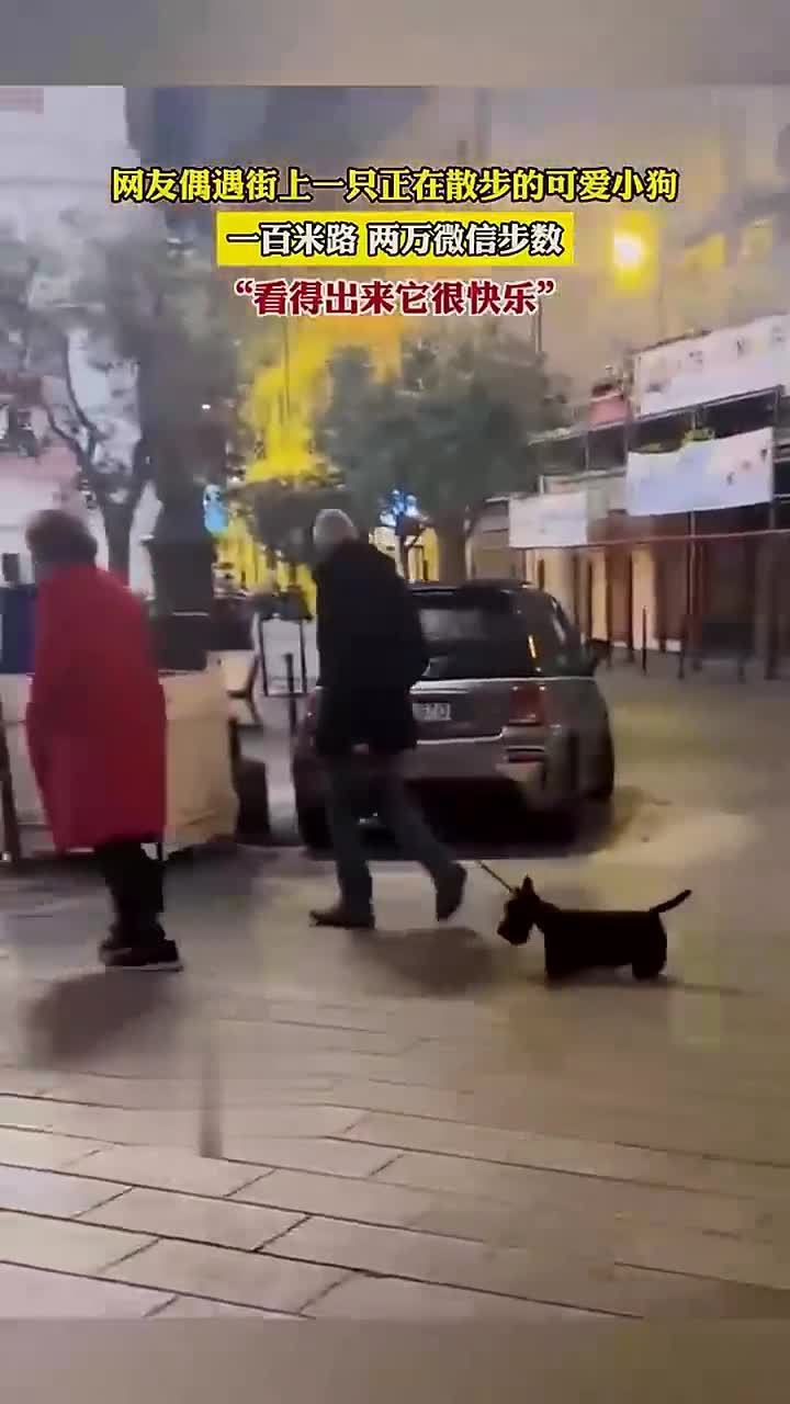 一百米路,竟走出两万微信步数!