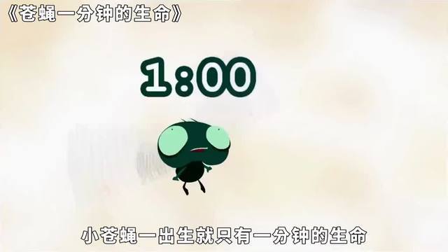 苍蝇的生命只有一分钟,却完成了人一生的成就,最后成为绝世珍宝
