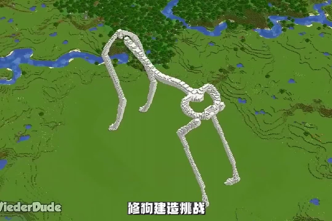 在我的世界中狗狗建造挑战,最后一个是造出了个什么玩意儿?