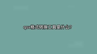 qsv格式转换工具是什么?