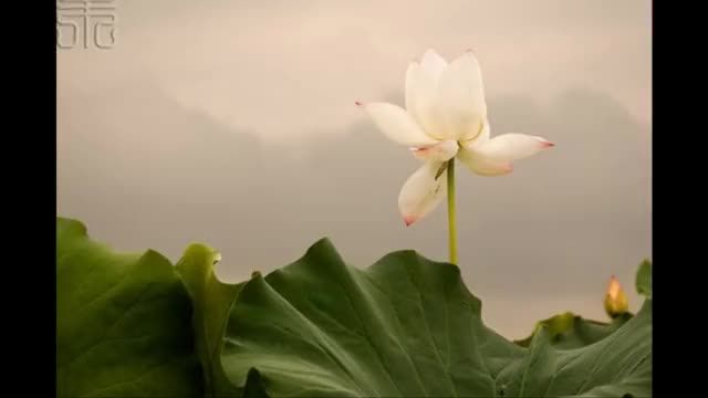 佛教音乐-大悲咒