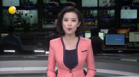 第一时间 辽宁卫视 2018 第20180318集 十三届全国人大一次会议举行...