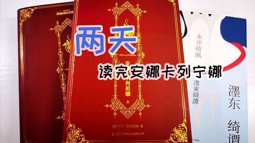 两天读完安娜卡列尼娜