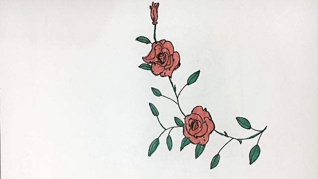 教小朋友画简笔画教程玫瑰花一幅简单易学的美术绘画儿童能学会