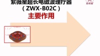 紫薇星磁疗王的热疗功能