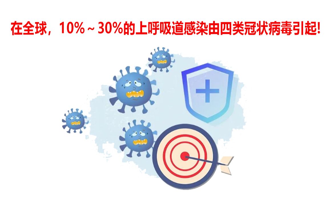 在全球,10%～30%的上呼吸道感染由四类冠状病毒引起!