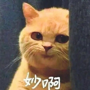 宇宙0v0 