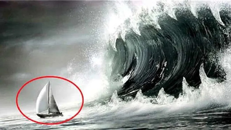 为什么"海啸"来临时,货船要冲向米高海啸?看完给船长点赞