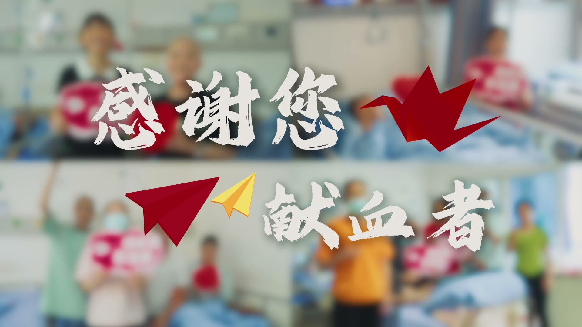 2024年世界献血者日宣传片《感谢您 献血者》——宜宾市中心血站