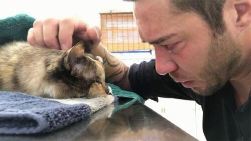 猫咪临终前和主人告别,下一秒的画面让人感动,镜头拍下全过程!
