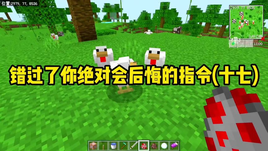 错过了绝对会后悔的指令第十七期#我的世界指令