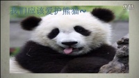 山东财经大学-2014-会计学院-会计学1408班