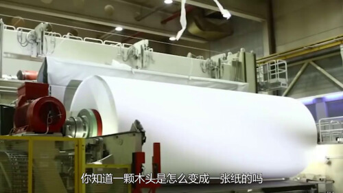 木头是如何变成纸的?实拍造纸全过程,看到最后涨知识了!
