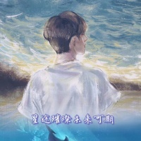 可可西里的影视