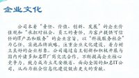 将背景添加到演示文稿中-合肥未来计算机技术开发公司