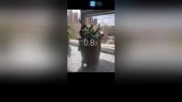 认识数字媒体技术