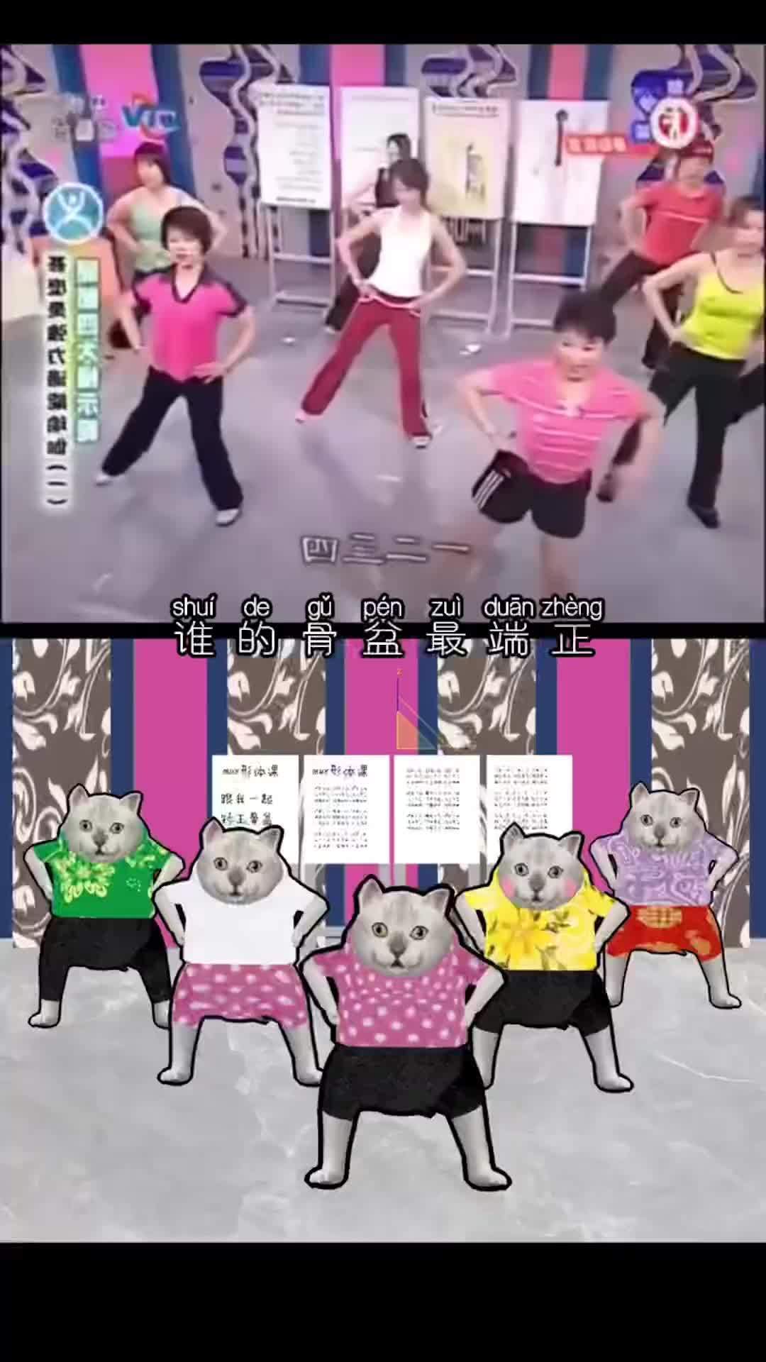 额,没有骨盆全是堆堆堆还有救吗?